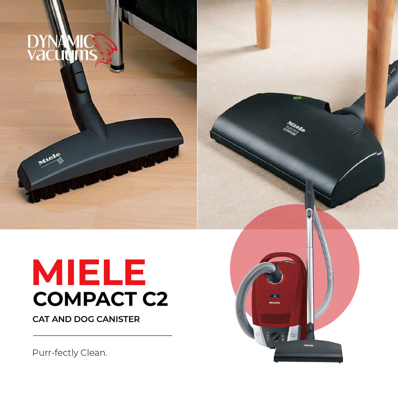 Miele Compact C2 Cat and Dog Canister – Dynamic Vacuums